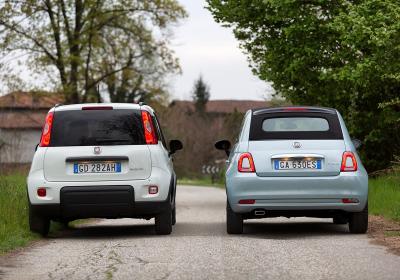 Foto Fiat Panda e 500 Hybrid quale meglio - Patentati