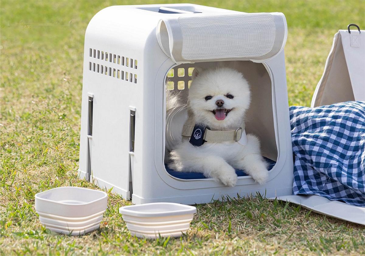Foto Hyundai portable pet house - Patentati